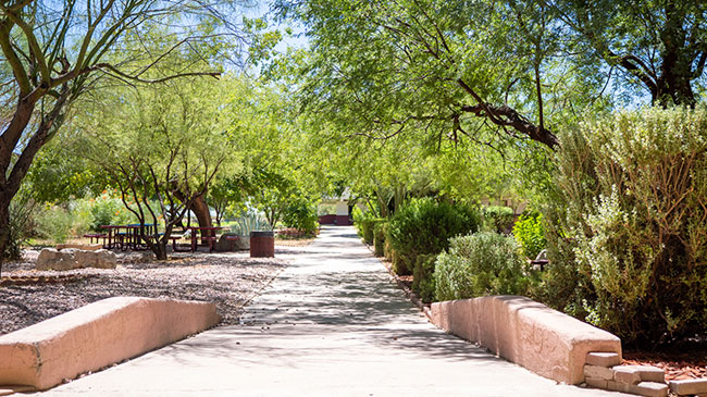 Home | San Simon School (Tohono O'odham)